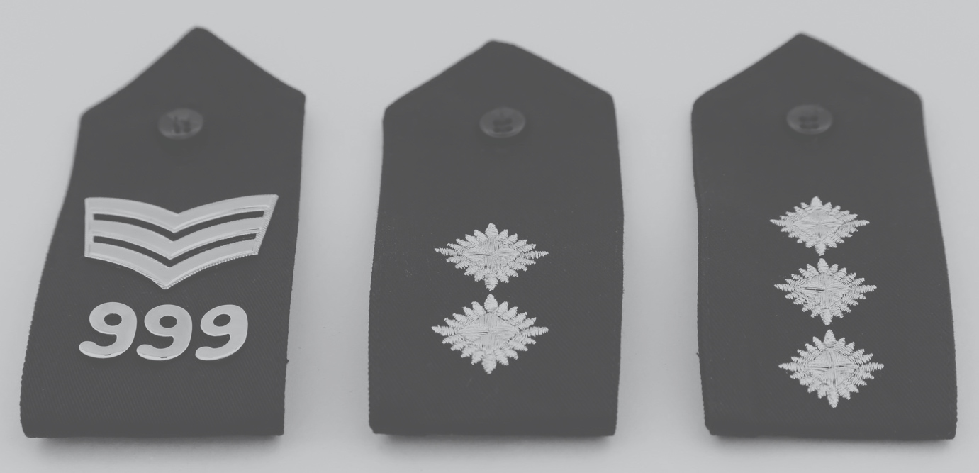 Thrifty Shades of Grey – Chapter 1 | Rank Success Blog