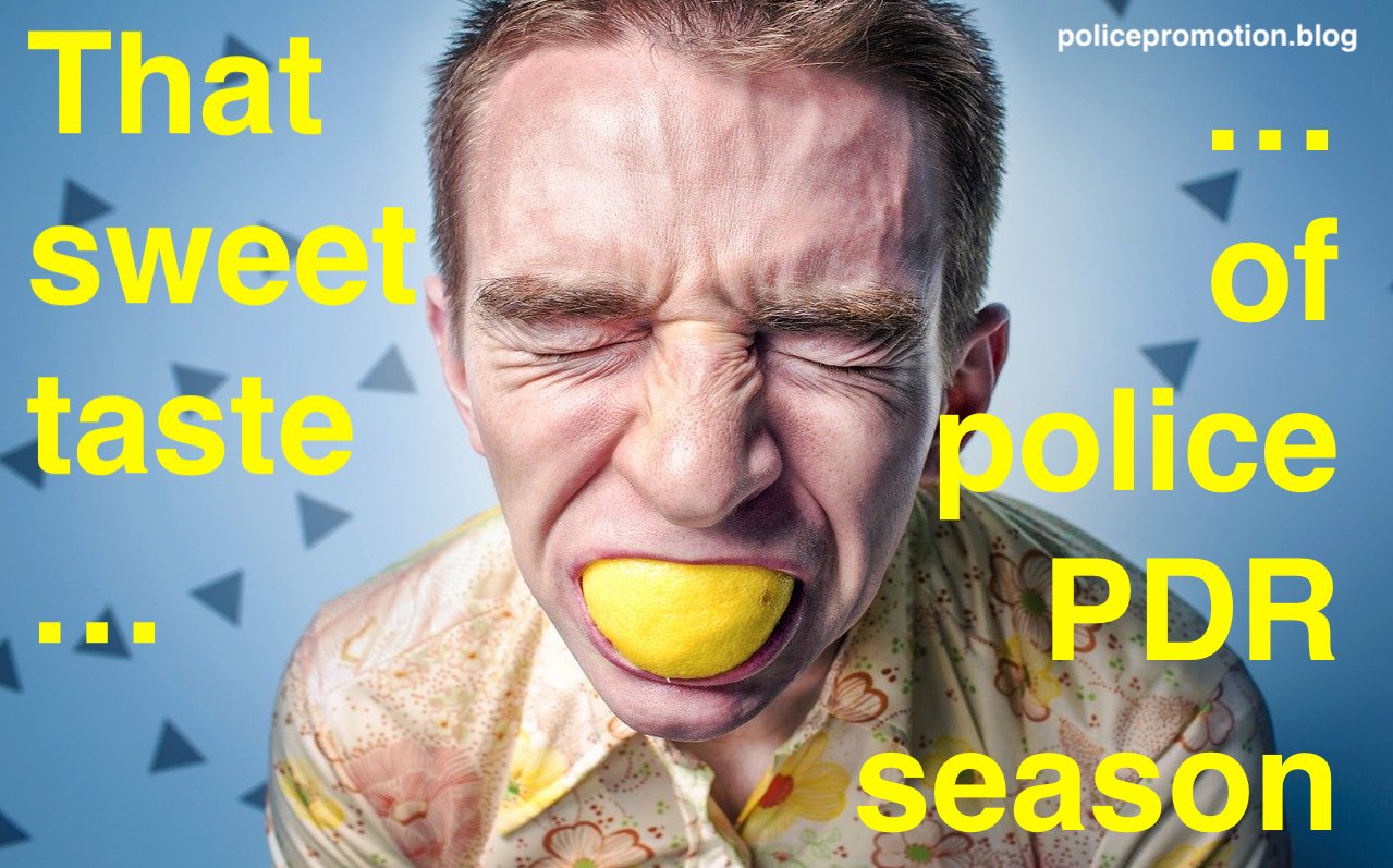 What Police PDRs SHOULD Look Like… | Rank Success Blog